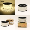 110V Single Color LED Strip Light SMD2835 (Easy Connect), UL Certified ...
